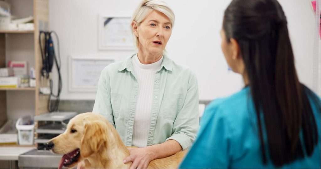 How to Provide Excellent Customer Service for Veterinary Businesses ...